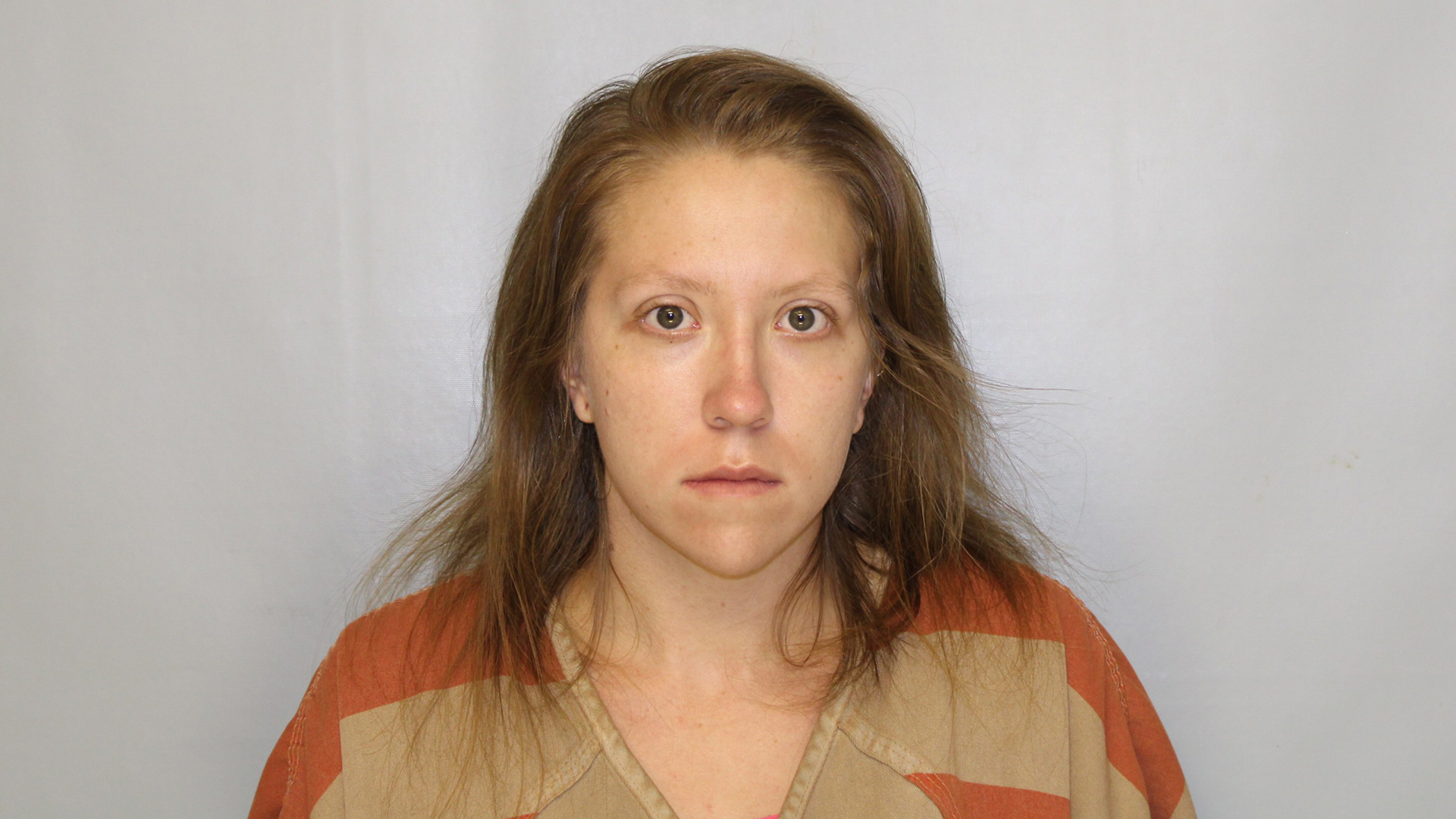 FROM THE HALL CO. SHERIFF'S OFFICE: DOG FOUND IN HOT CAR, SECOND SUCH ...