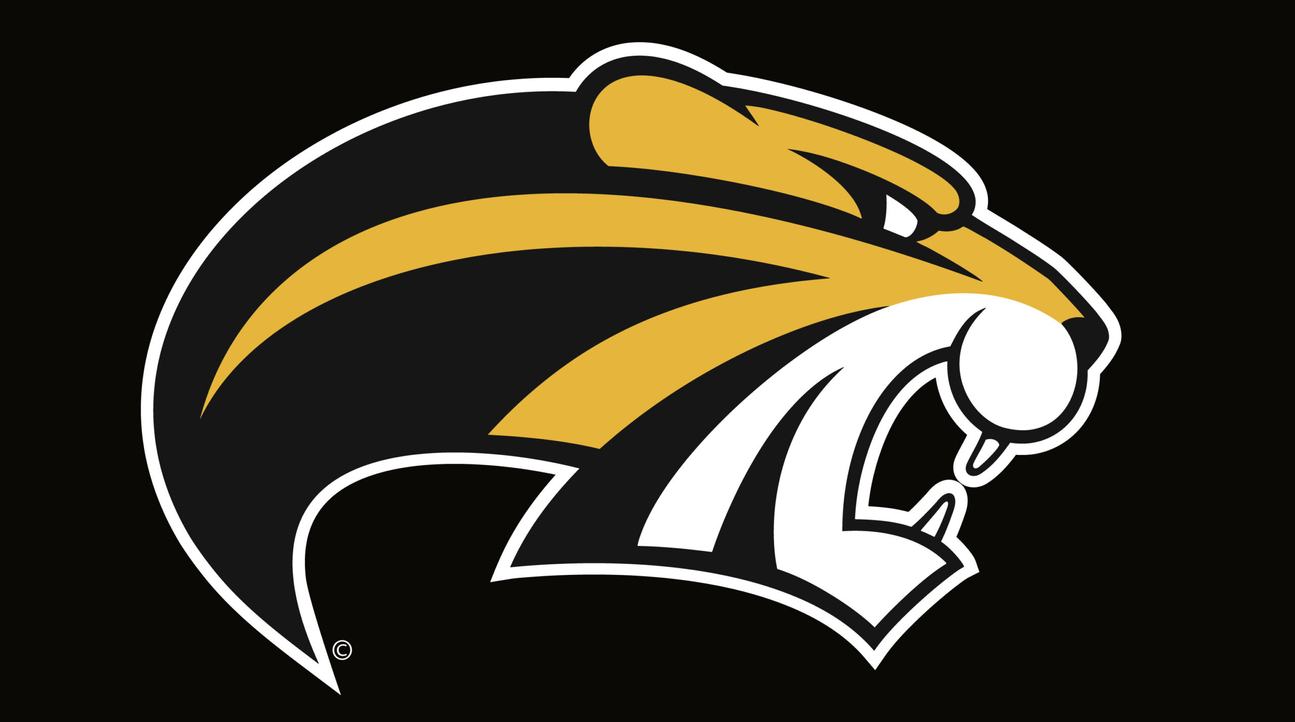 For the 14th straight year, Brenau University has been named a ...