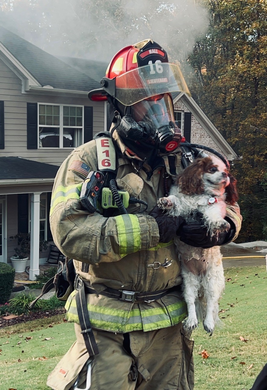 Dog rescued from house fire