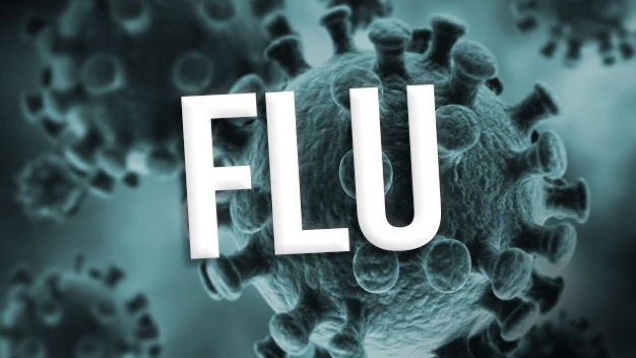 Ga. tops among all states for flu activity