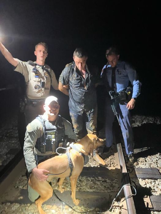 UPDATE: Suspect in 2-county police chase ID'd; was wanted in Hall Co.