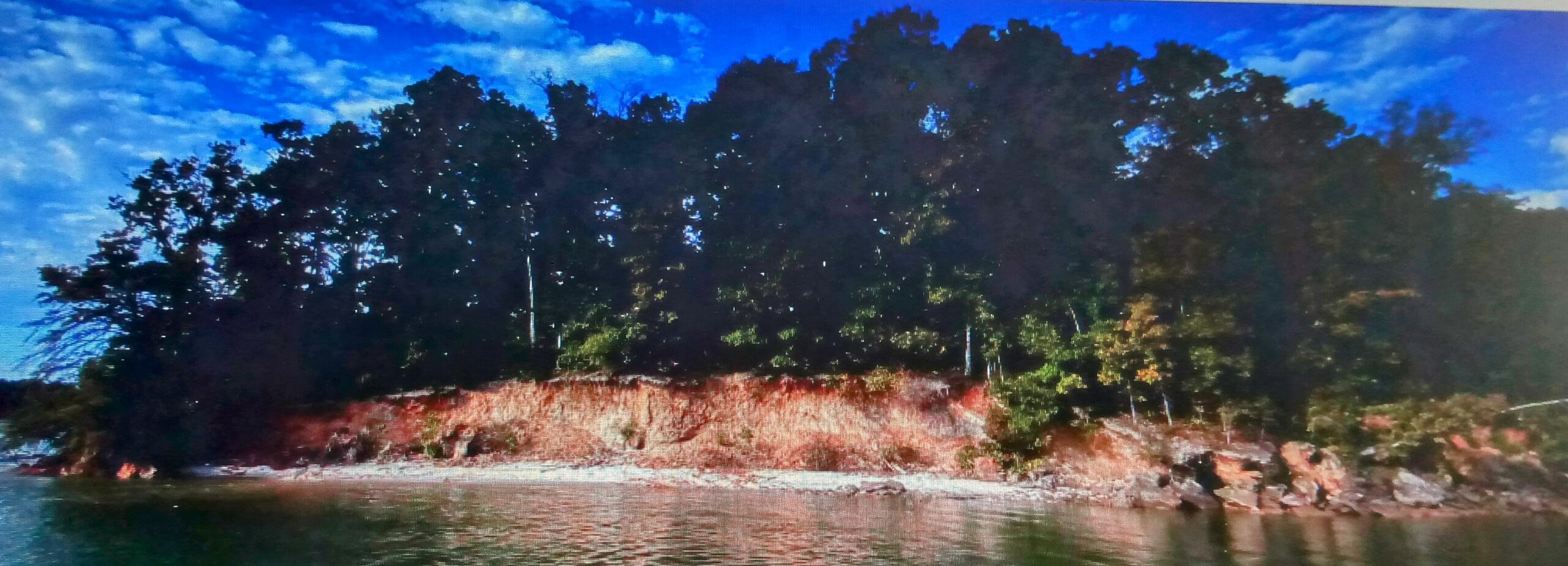 LLA re-launching Project Armor