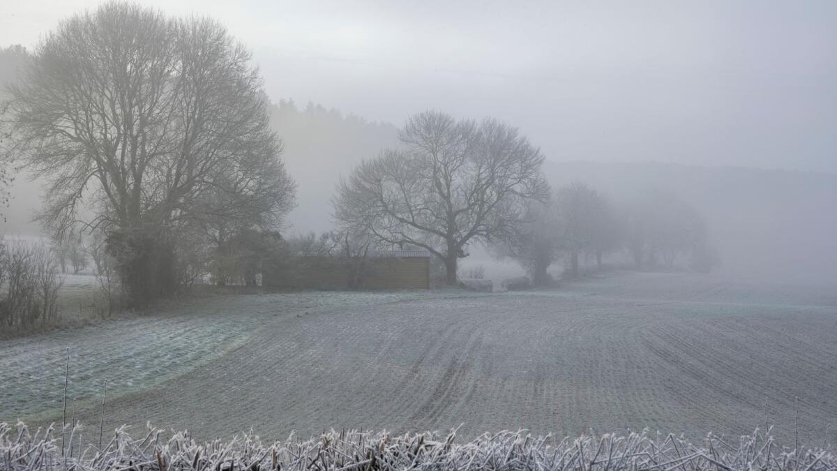 NWS: Freezing fog alert