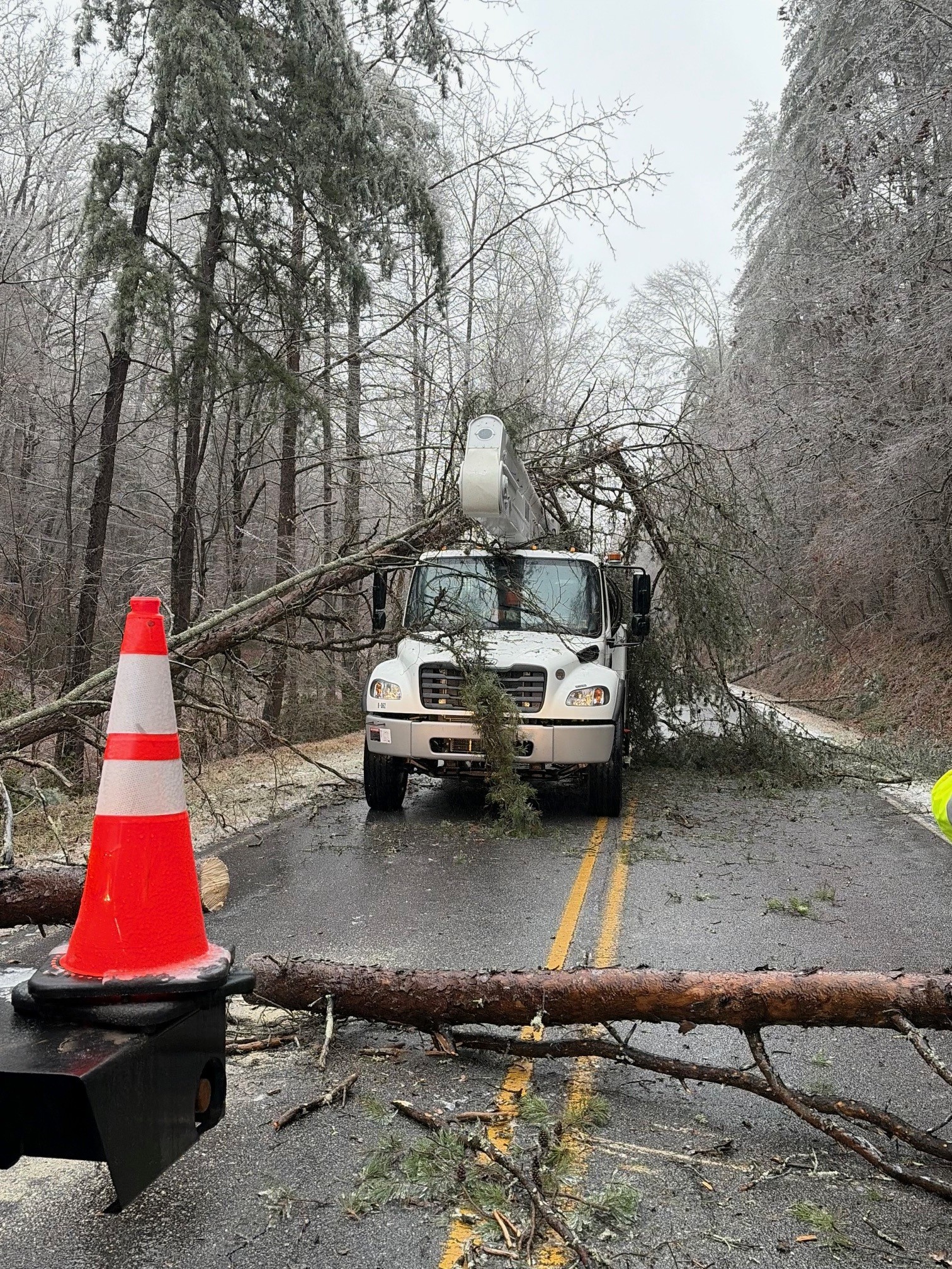 ICE STORM: More than 100 Habersham roads blocked by trees